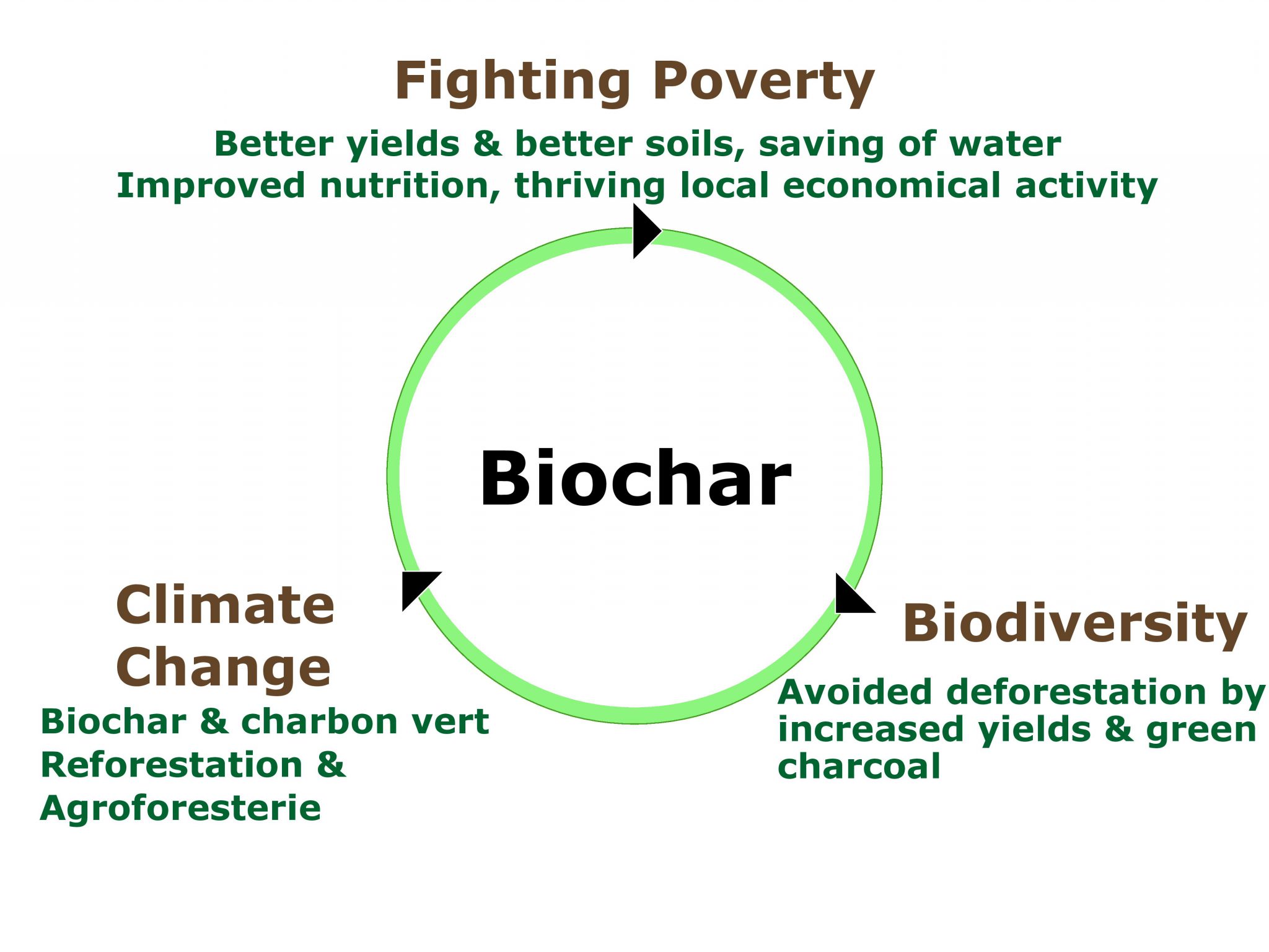 Biochar | Pro Natura International